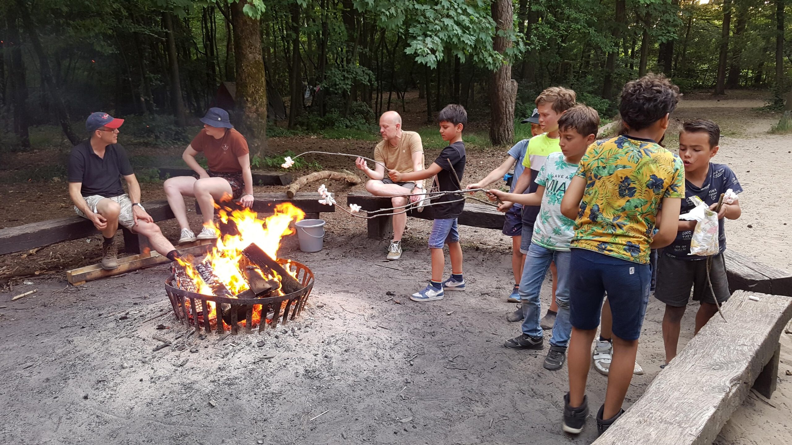 Judokamp 2022 - Judo Ryu Rijkse